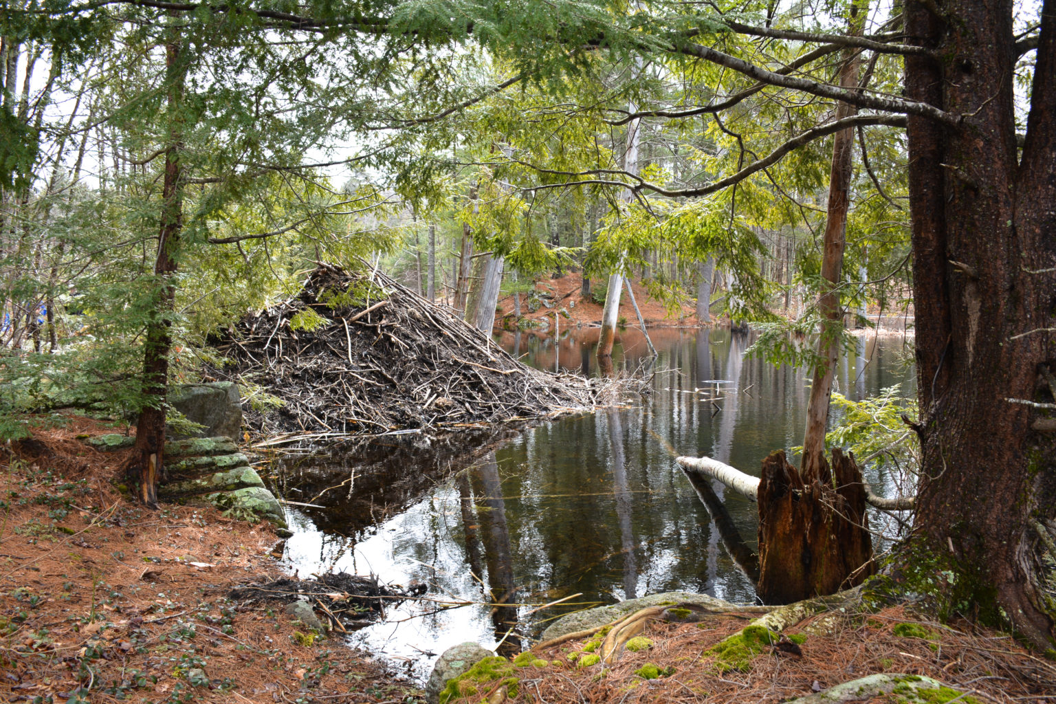 Conservation Areas with Walking & Hiking Trails in Southern Maine
